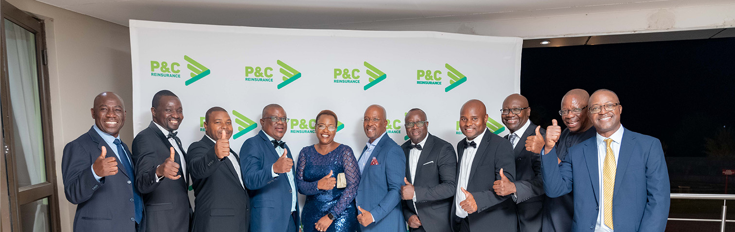 Overview - P&C Reinsurance